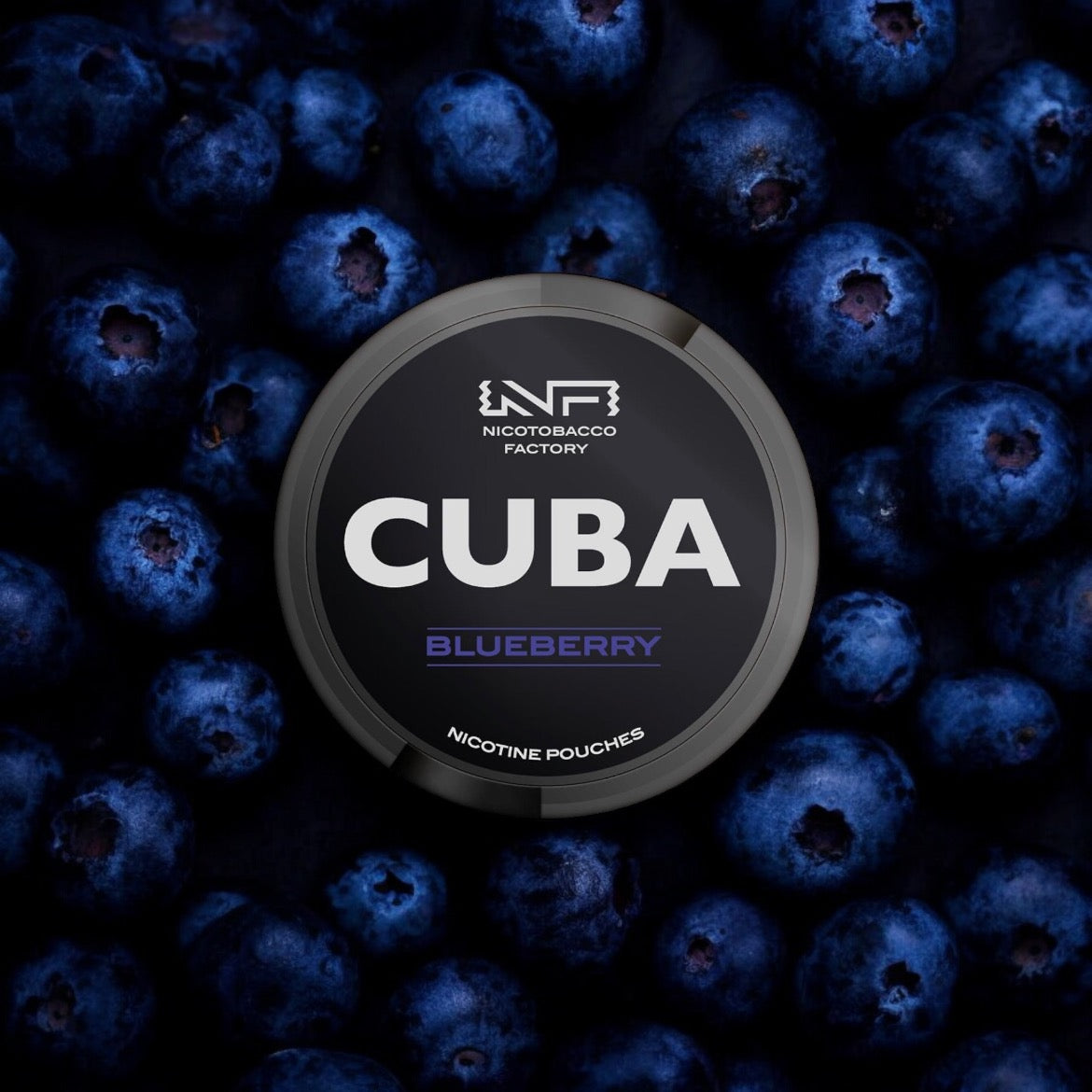 CUBA Blueberry Strong 66 mg/g – Snusify